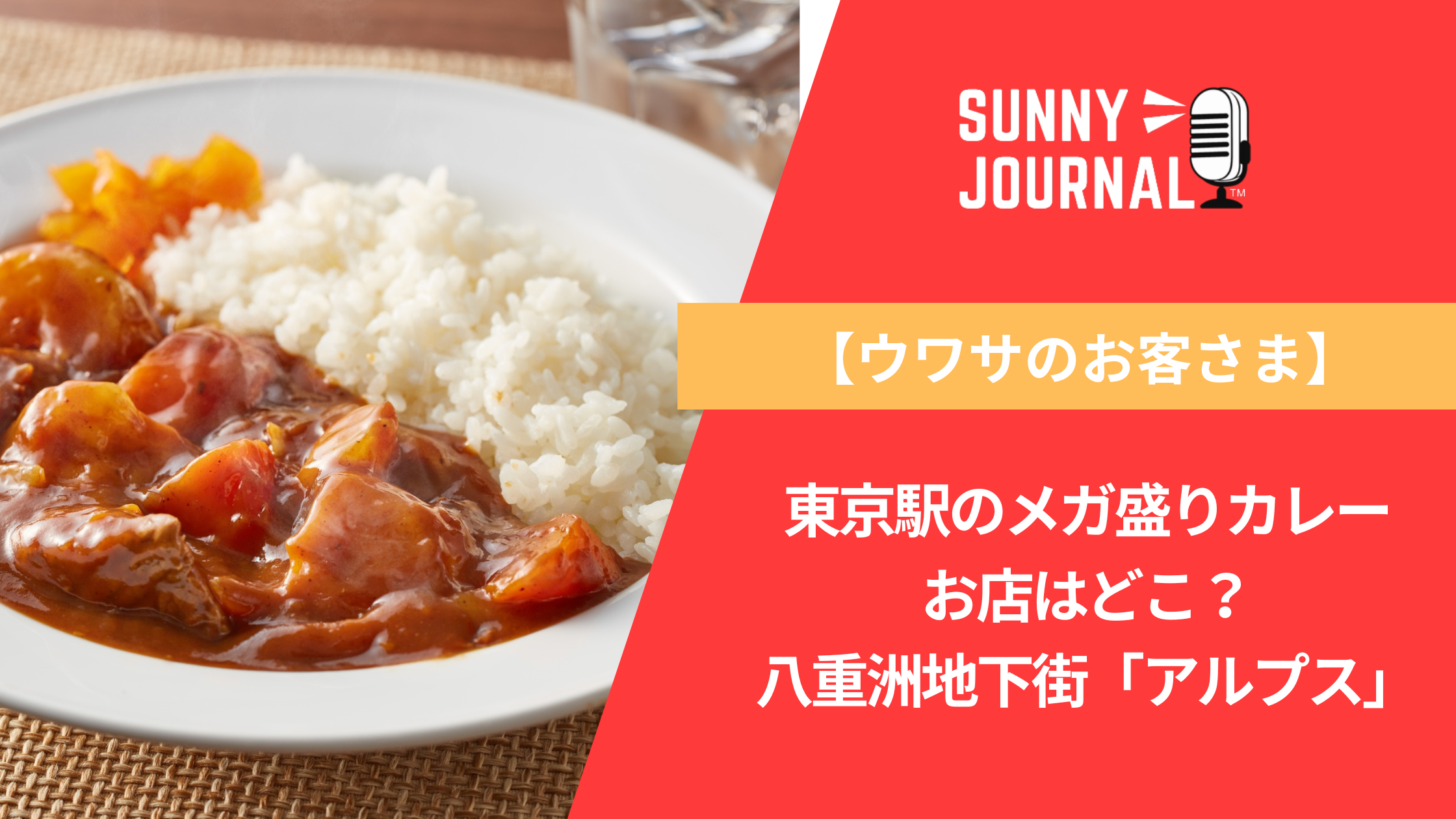 【ウワサのお客さま】東京駅のメガ盛りカレーのお店どこ？八重洲地下街のアルプス | SUNNY JOURNAL